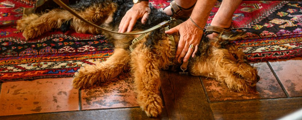 Fresh Food & Cask Ales - The Refectory, Godalming